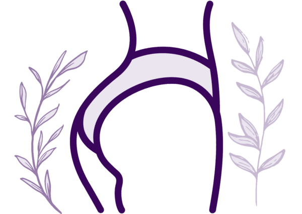 BBL Master – Achieve your Dream Curves
